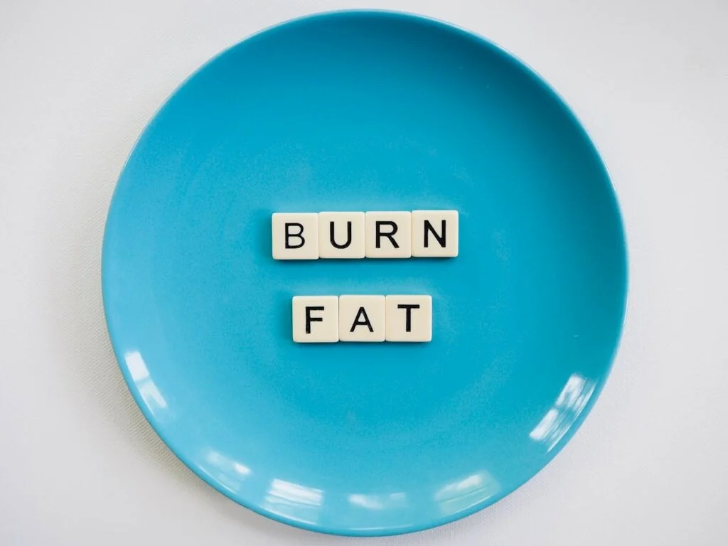 Scientists Found Aging Wakes up New Fat-Making Cells That Expand Belly ...