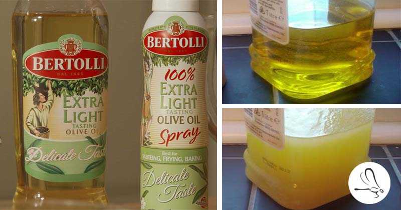 Fake Olive Oil Is Everywhere! Here Are 5 Popular Brands You Should Stop ...