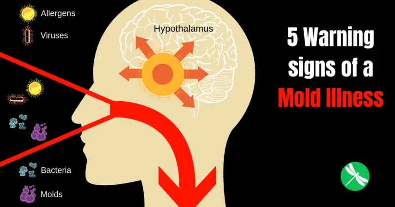 List of Five Warning Signs That May Indicate a Mold Illness, and Not ...