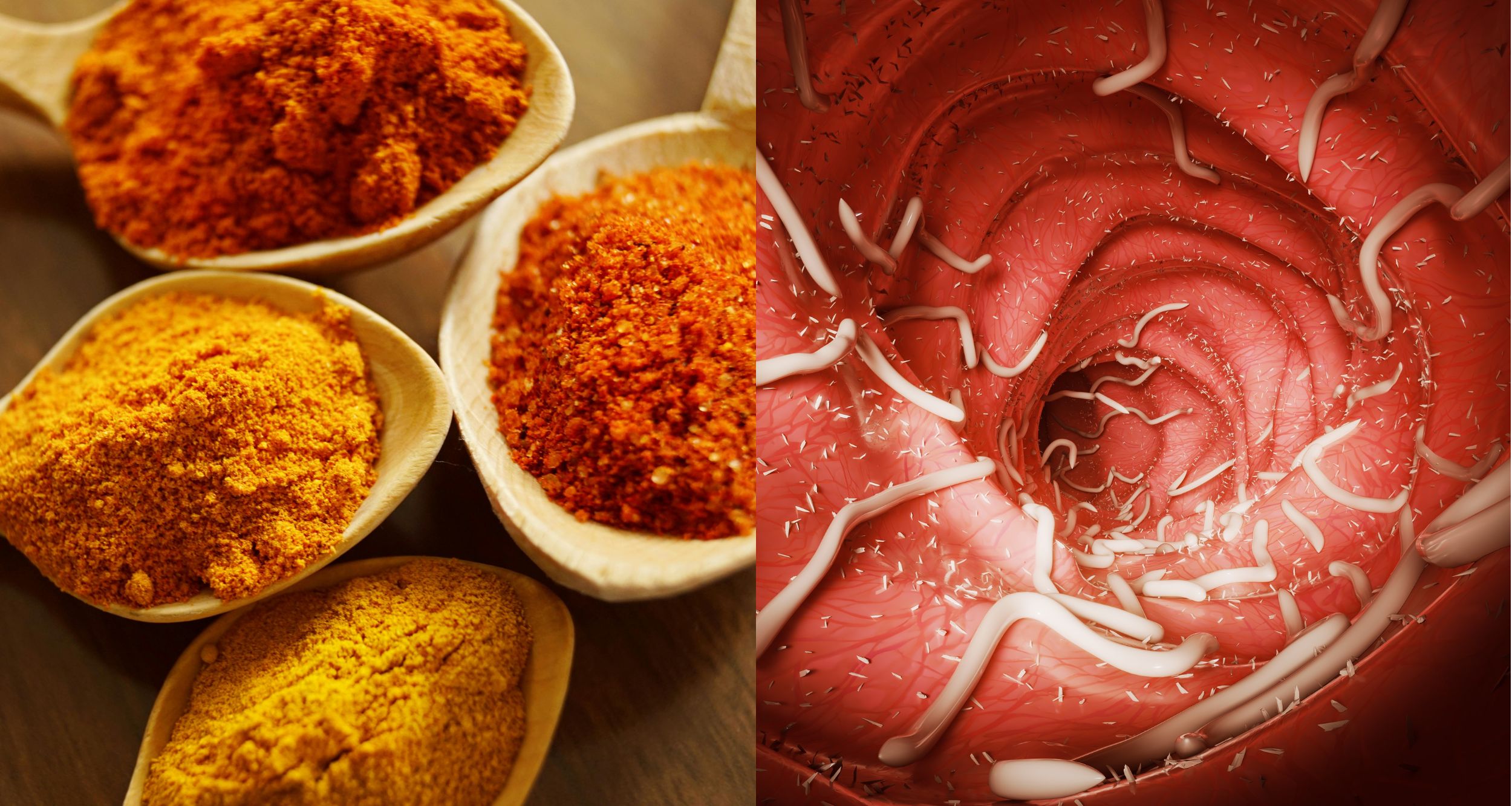 10 Warning Signs Your Body Is Full Of Parasites And 7 Foods That Can ...