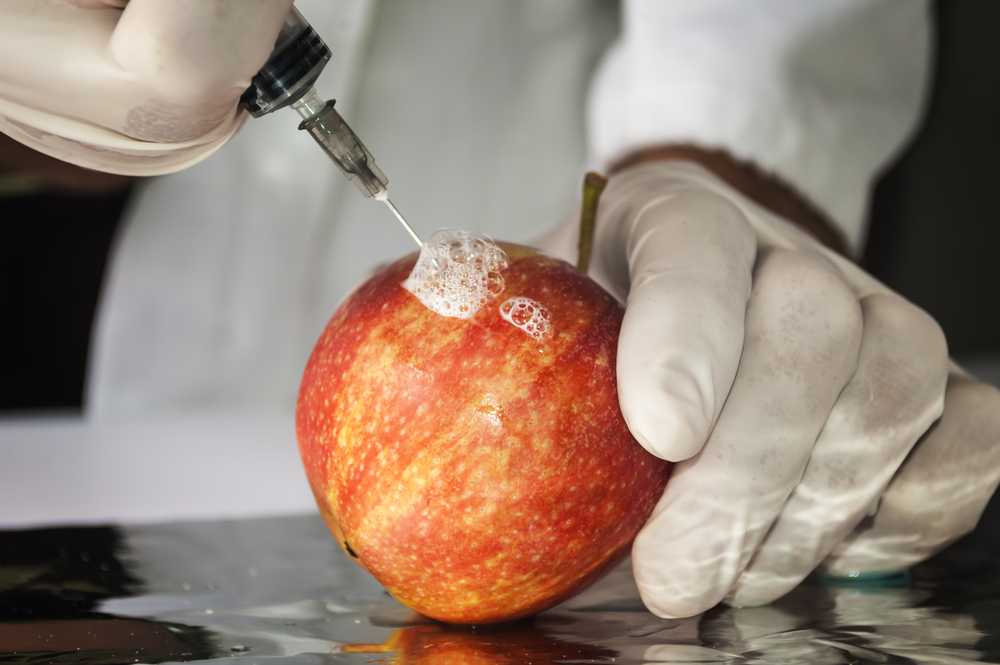 Three Genetically Engineered “Non-Browning” GMO Apples Are In Store ...