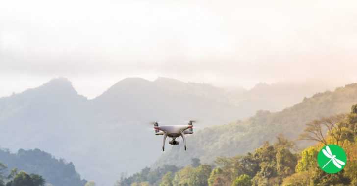 These Tree-Planting Drones Are Firing 'Seed Missiles' Into The Ground ...
