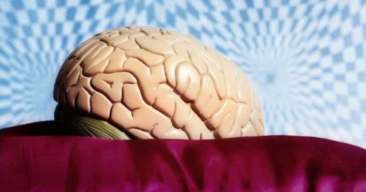 Exploring LSD and Brain Plasticity: A Neurological Breakthrough