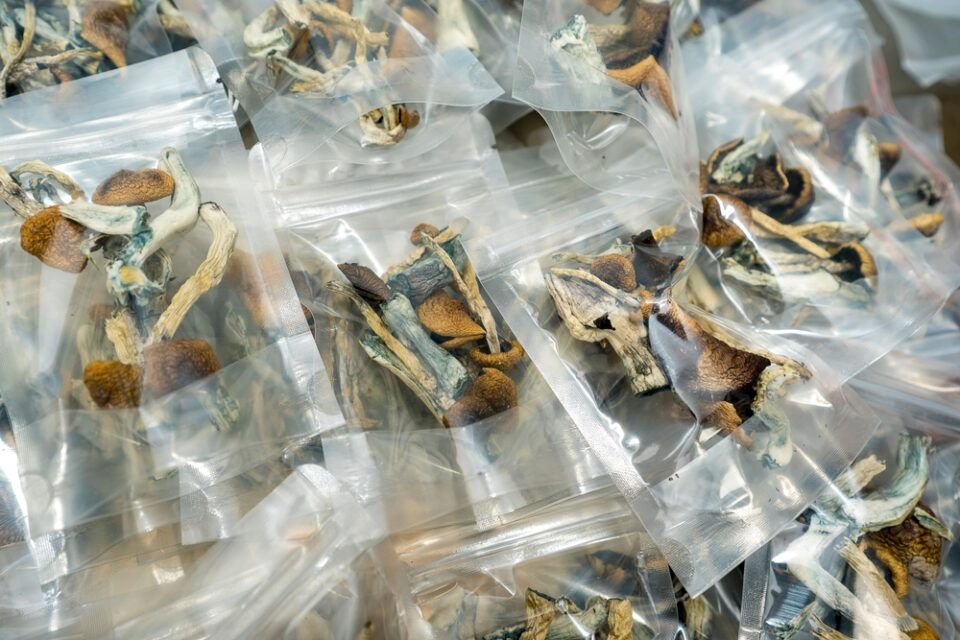Psilocybin May Interrupt the Brain Patterns That Keep Depression Going