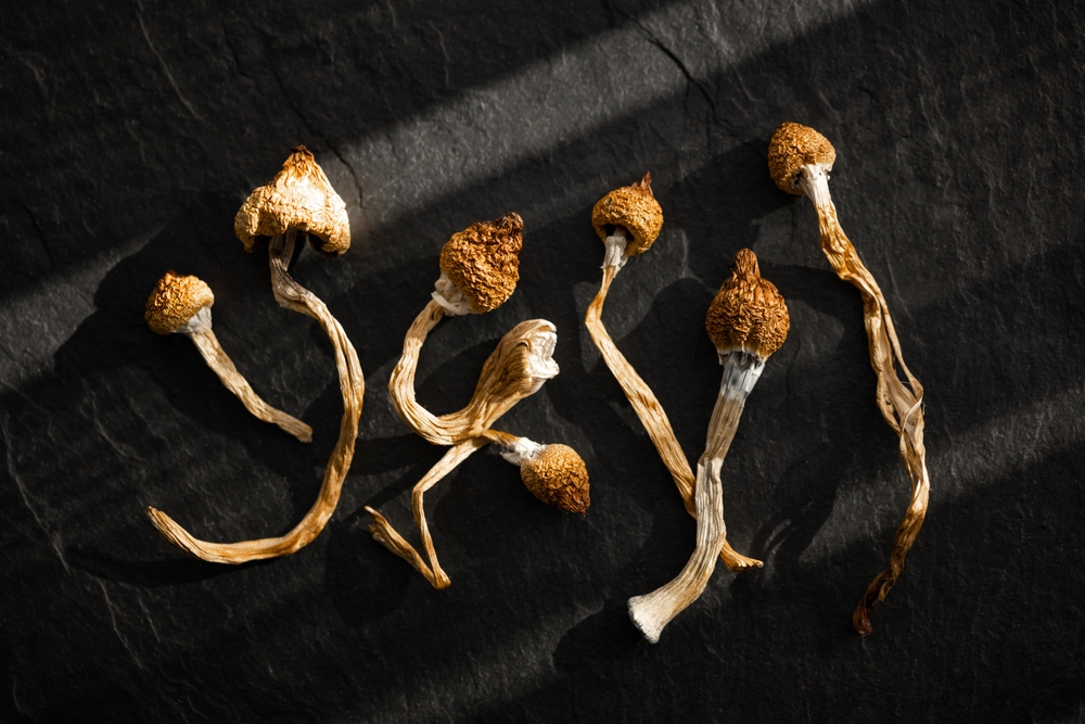 Psilocybin May Interrupt the Brain Patterns That Keep Depression Going