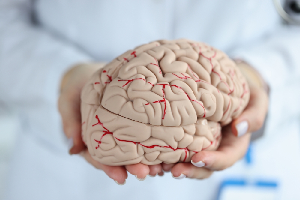 Autism and Schizophrenia May Begin Before Birth, a Study Finds